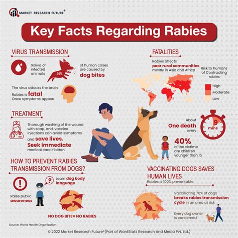 Anti Rabies Vaccination Drive Launch Globally To Fight Rabies And Avoid Virus Transmission News