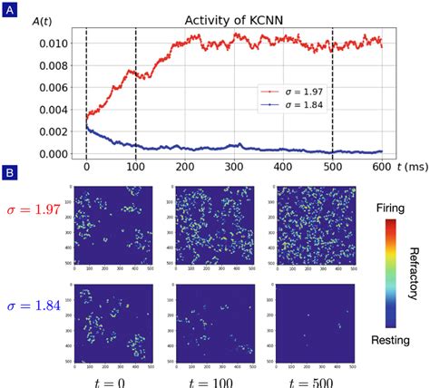Spontaneous Asynchronous Firing In Kinouchi Copelli Neuronal Netwrok
