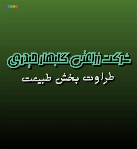 گل و گیاه آپارتمانی ندا گیاه دراسنا پرچمی یا خون سیاوشان که از گیاهان تصفیه هوا است گیاه
