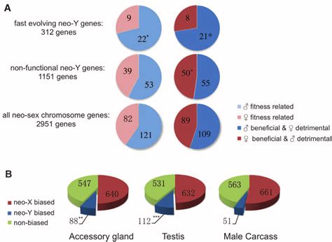 A Sex Specific Fitness Effects And Sexual Antagonism Of Neo Sex Genes Download Scientific
