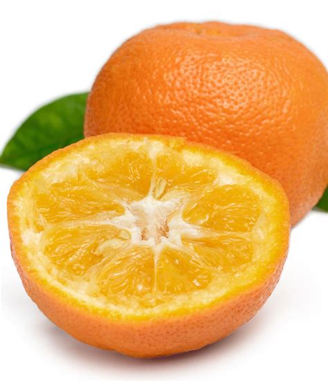 When Are Seville Oranges Available In Canada Seche