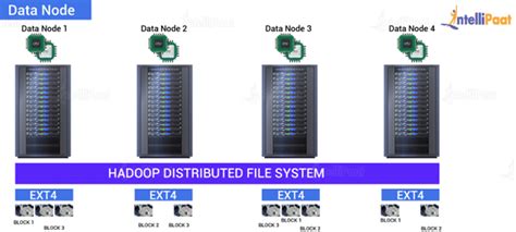 What Is HDFS In Hadoop Intellipaat