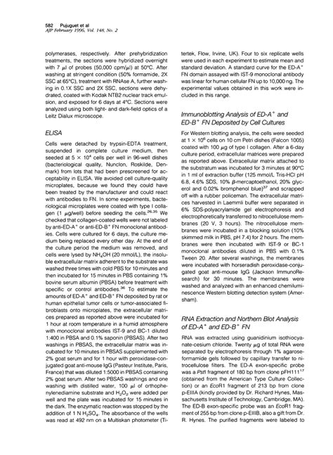Expression Of Fibronectin Ed A And Ed B Isoforms By Human And Experimental Colorectal Cancer