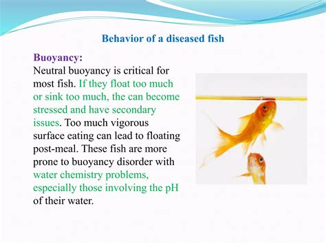Differentiation Between The Behavior Of Healthy And Diseased Fish And