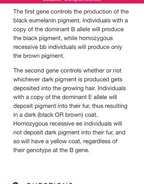 Solved The First Gene Controls The Production Of The Black