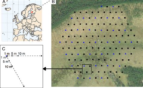 figure 2 from joint species distribution modeling with species