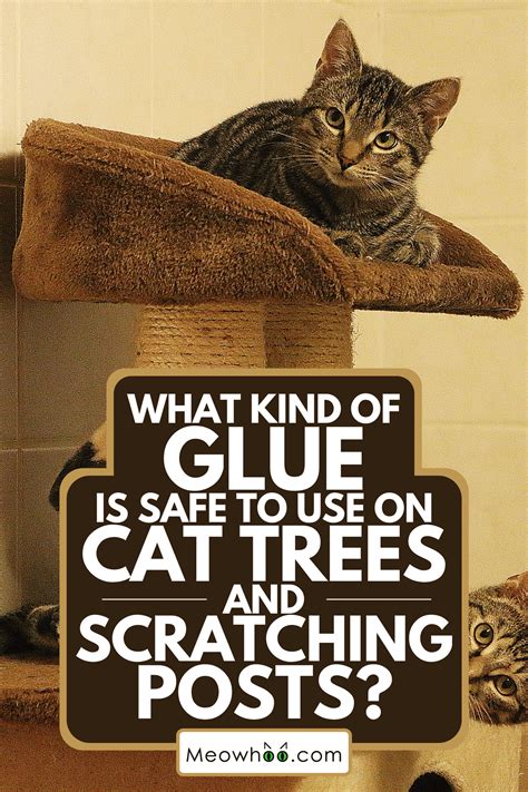 What Kind Of Glue Is Safe To Use On Cat Trees And Scratching Posts