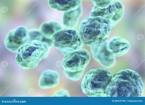Tularemia Bacteria Francisella Tularensis Stock Illustration Illustration Of Francisella