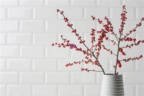 Mosa —კერამიკული ფილები Urbanelements