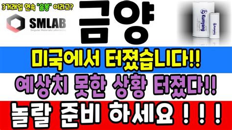 금양 실시간 속보 미국투자 본격화 공장증설 텅스텐 4000억 매출 이달 리비안 요구 조건 수용 호재 급등