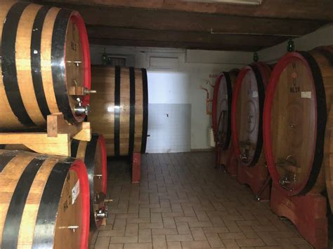 Visiting Baricci John Foderas Tuscan Vines