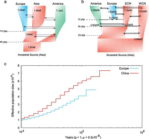demographic history and genome wide patterns of differentiation of