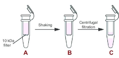 ReadiUse 10KD Spin Filter AAT Bioquest