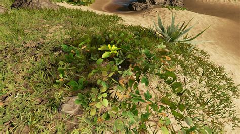 How To Find The Pipi Plant In Stranded Deep And Craft A Poison Antidote Gamesradar