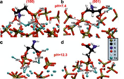 Metadynamics Derived Dominating Binding Modes For Pser At The Download Scientific Diagram
