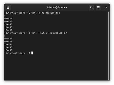 Linux Tail Command With Examples Bytexd