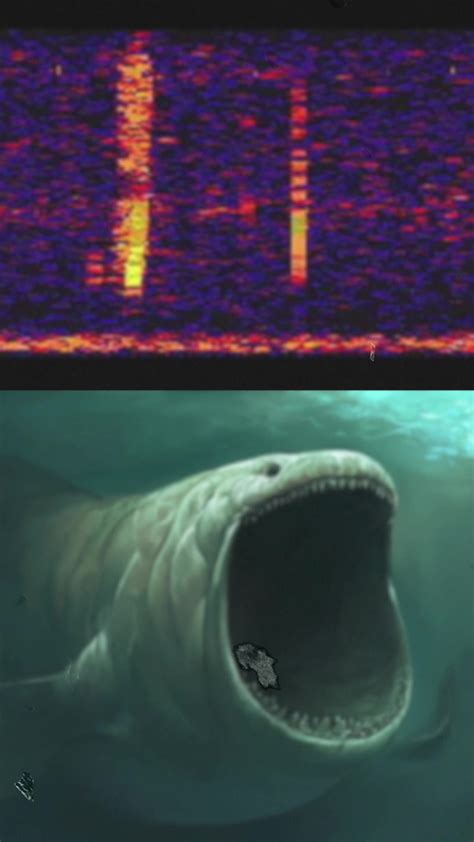 Bloop Cryptid Deep Sea Monster Aesthetic Abyssal Deepsea Ocean