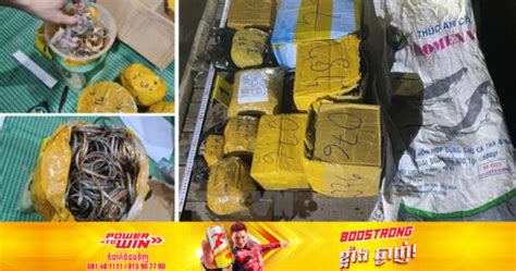 អាជ្ញាធរវៀតណាមបាន រឹបអូស មាសចំនួន ១៩ គីឡូក្រាម ដែល រត់ពន្ធ ពី កម្ពុជា