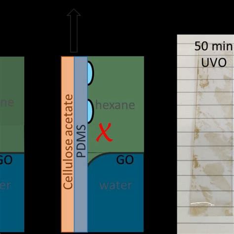 Figure S2 A Schematic Representation Of The Continuous Deposition Of