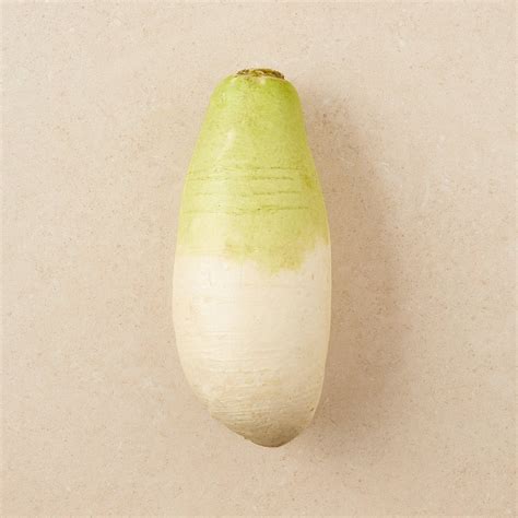 제주 무개 이마트몰 당신과 가장 가까운 이마트