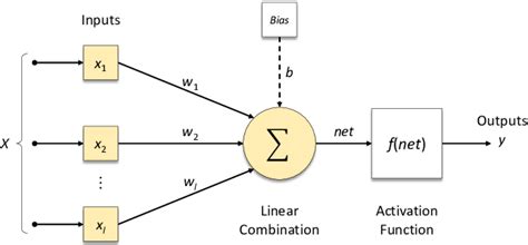 structure of perceptron download scientific diagram