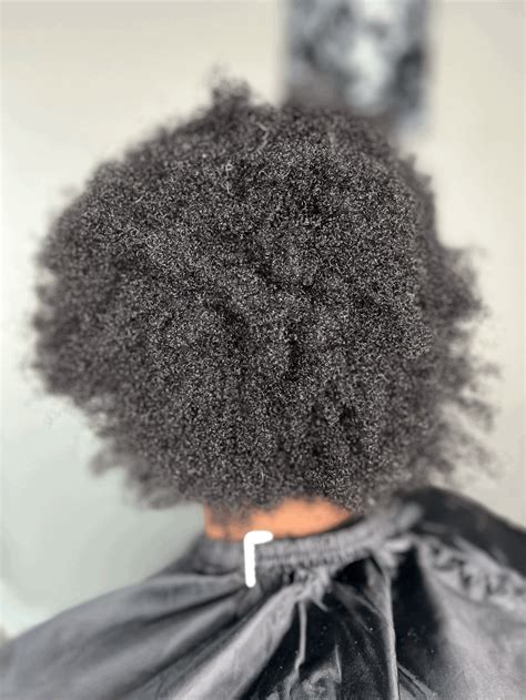 I Want Sisterlocks™ Extensions — Melanin Locz