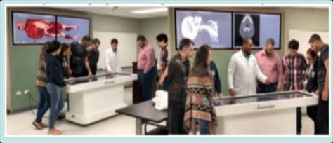 Virtual Pre Dissection Classroom Based Anatomy Laboratory Depicting