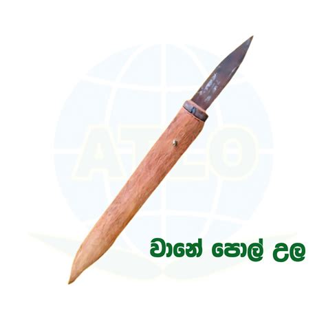 පොල් උල Atlo Agro Products