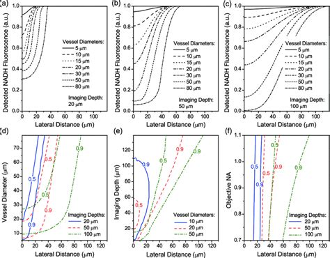 Dependence Of Detected Relative Nadh Fluorescence Intensity On