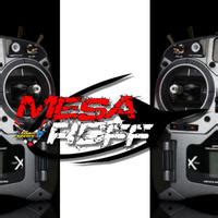 Training With The Spektrum Series Flite Test