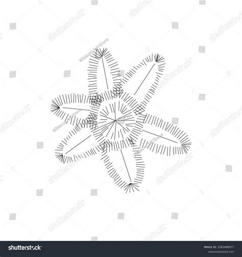 Tree Top View Tree Dimension Stock Vector Royalty Free Shutterstock