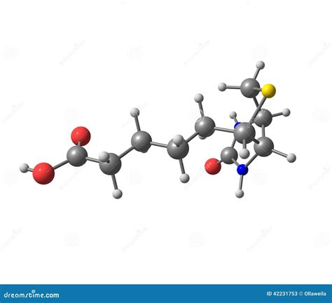 Biotin B7 Molecular Structure On White Background Stock Illustration
