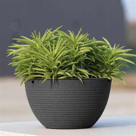 Badu Bg Висяща кошница Саксия за цветя Плантатор Закачалка за стенен декор Стойка за растения