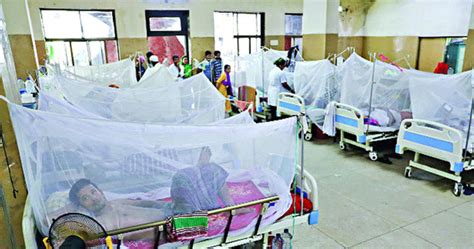 ভয়াবহ ডেঙ্গু সংক্রমণ বাংলাদেশে ডব্লিউএইচও