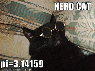 Nerd Cat Jellybeansofdoom Com