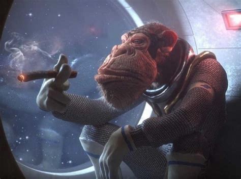 You May Think Youre Cool But Are You Astronaut Monke In Space With A