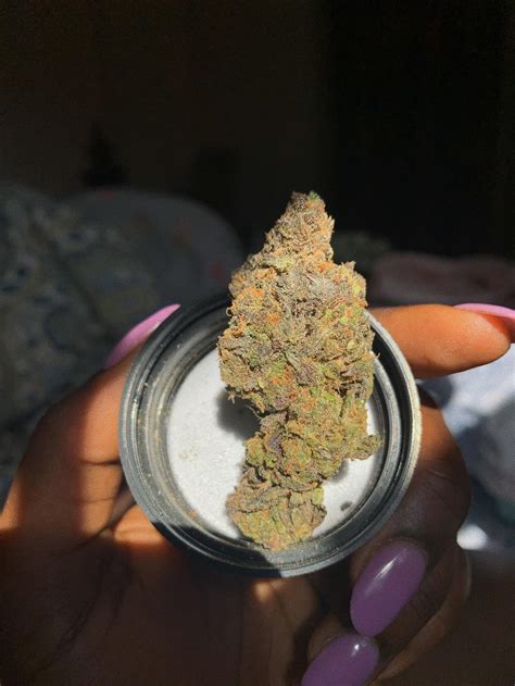 Dragons Breath Scrolller Dragons Breath Scrolller