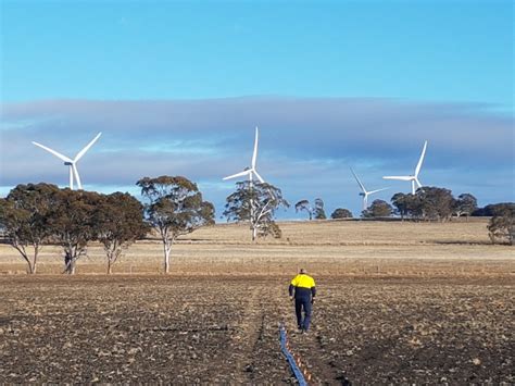 Sapphire Wind Solar Farm Sapphire Nsw Scurbat Geophysics
