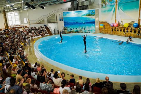 «АНТИТІЛА КЕМП 2 0 для дітей Героїв організували емоційний відпочинок на Львівщині