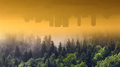 Does Carbon Offsetting Work Only If You Get It Right