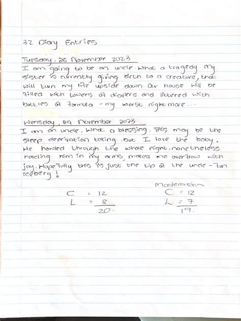 Diary Format Pdf