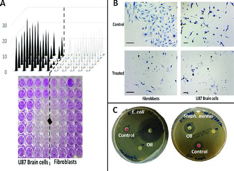 In Vitro Indirect Activity Of Plant Volatile Oil Against Both Mammalian Download Scientific