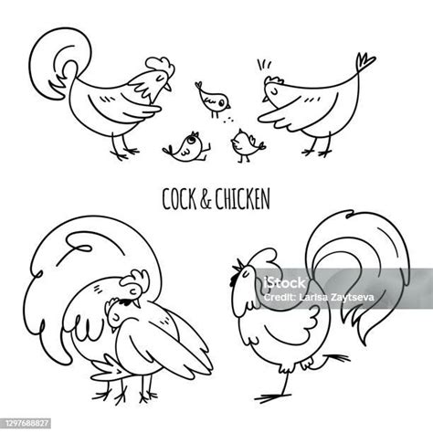 손으로 그린 국내 수탉과 암탉의 세트 흰색 배경에 고립 된 작은 닭과 귀여운 그려진 닭 가족 마을 새의 벡터 스톡 일러스트레이션 수탉에 대한 스톡 벡터 아트 및 기타 이미지