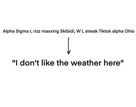 Got High And Made A Brainrot Language Rconlangs