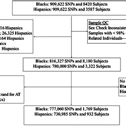 The Flow Chart Presents An Overview Of Sample And SNP Inclusion Exclusion During Quality Control