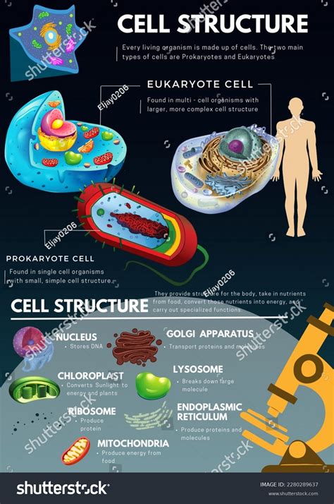 Smallest Unit Life Royalty Free Images Stock Photos Pictures