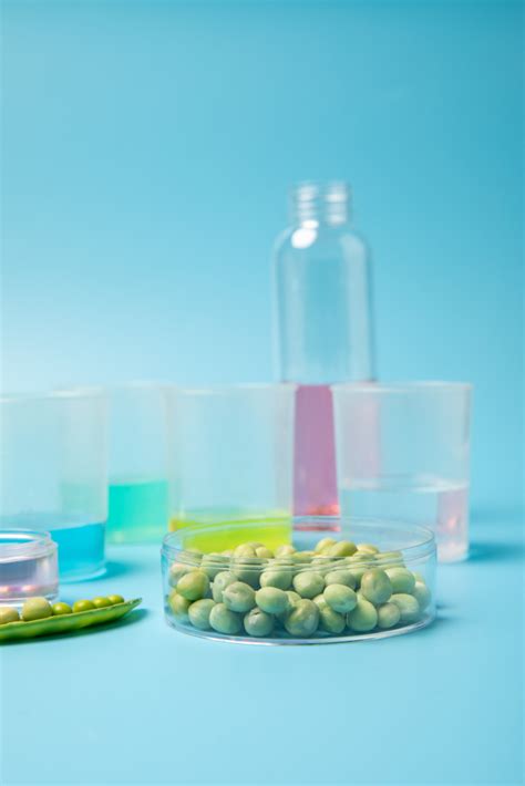 实验素材 实验模板 实验图片免费下载 设图网