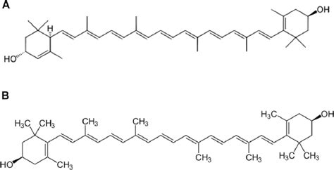 Structure Of A Lutein B Zeaxanthin Download Scientific Diagram
