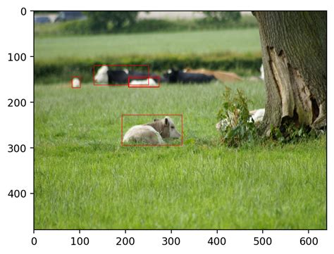 Inference Not Correct On Exported Onnx Model · Issue 2748