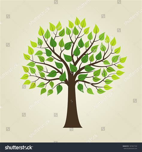 Tree Isolated On White Background Stock Vector Royalty Free Shutterstock
